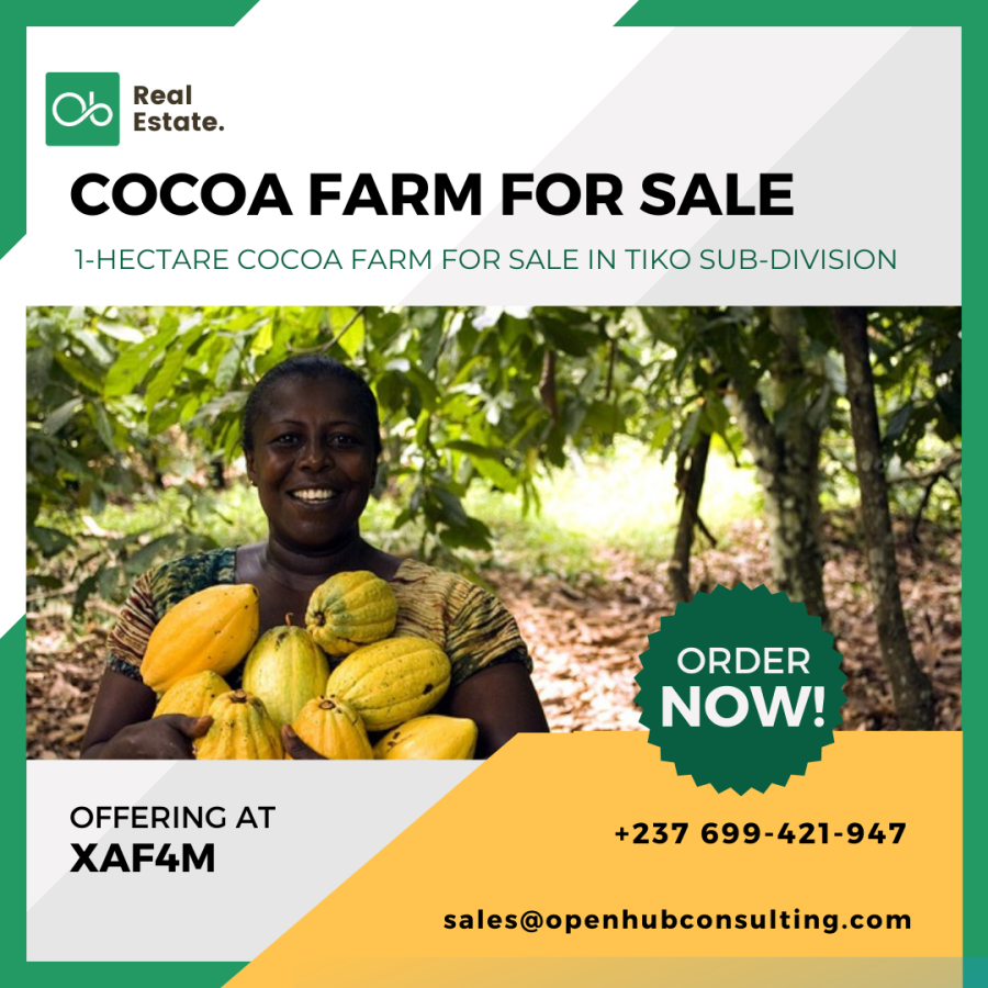 Invest in a Sustainable Cocoa Farm in Tiko, Cameroon
